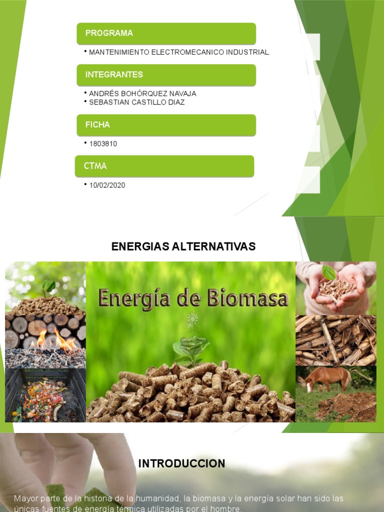BIOMASA | PDF | Biomasa | Combustibles