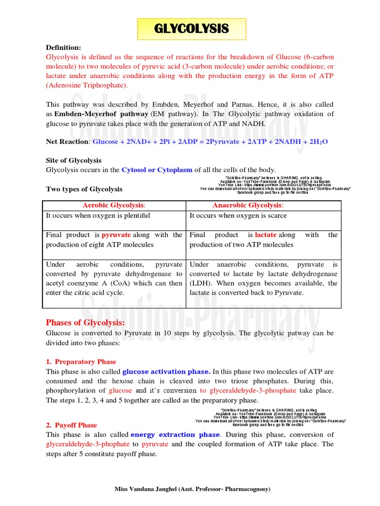 Glycolysis Notes B.pharm 2ND Sem PDF | PDF | Glycolysis | Adenosine ...