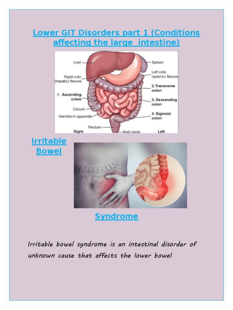 Lower GIT Disorders | PDF | Crohn's Disease | Inflammatory Bowel Disease