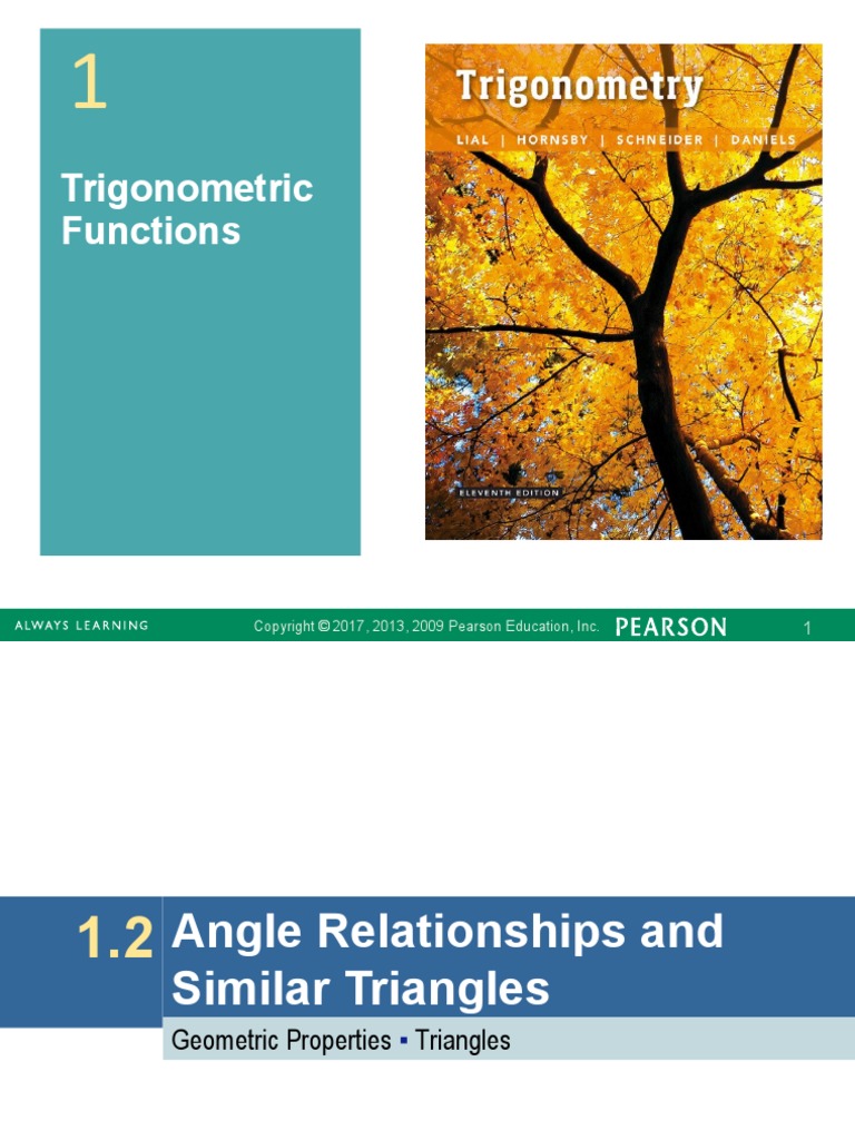 Trigonometric Functions Trigonometric Functions | PDF | Triangle | Angle