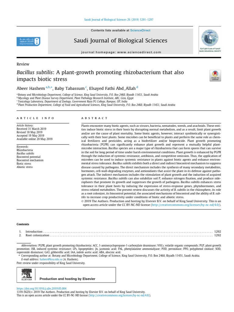 A Plant-Growth Promoting Rhizobacterium | PDF | Bacillus | Biofilm