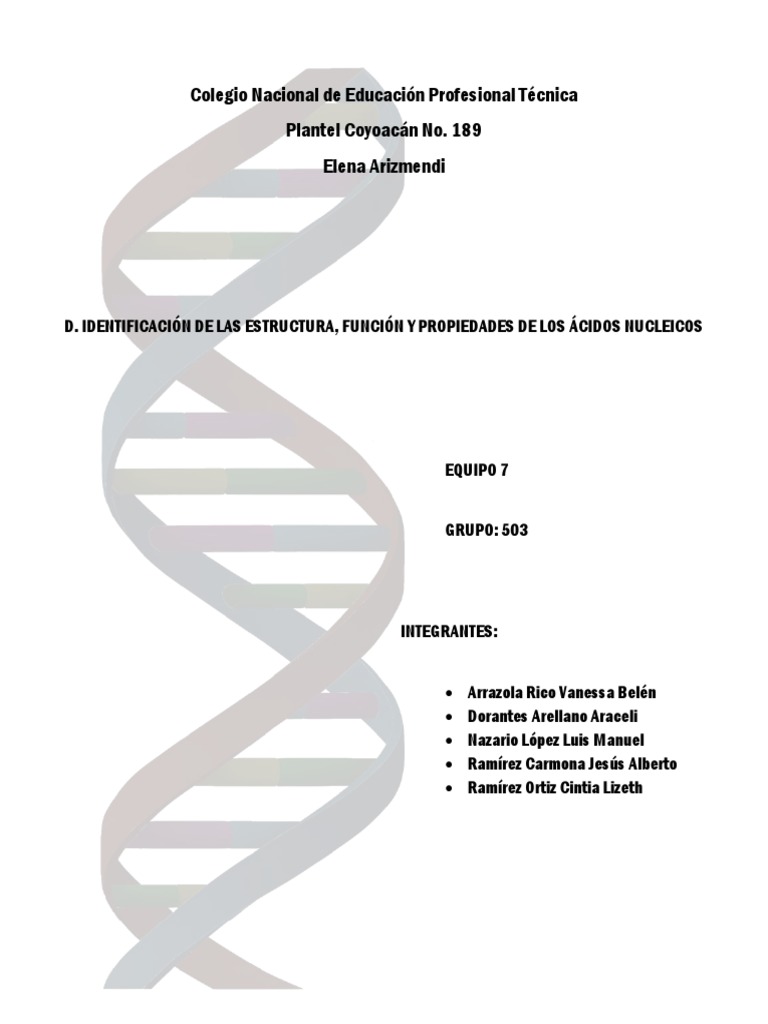 Adn y Arn Bio | PDF | Replicación De Adn | Rna