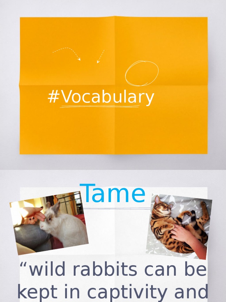 The Little Prince (Detailed Lesson Plan) Grade 10 | PDF | Friendship