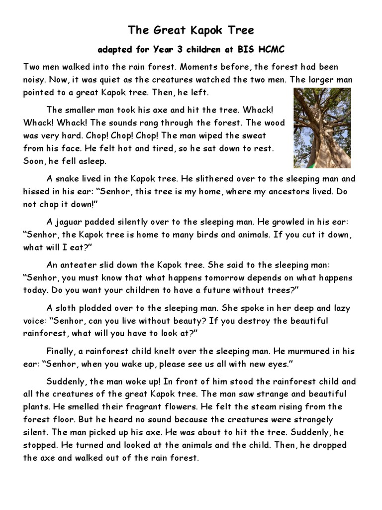 The Great Kapok Tree Reading and Activities | PDF | Nature