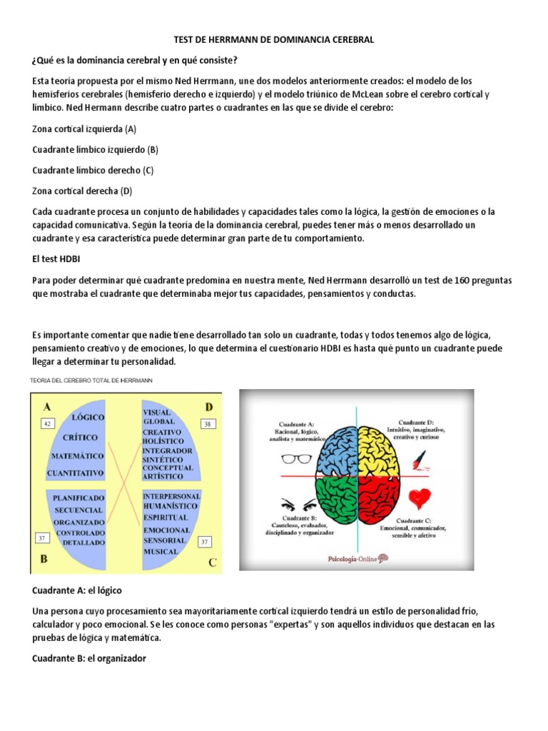 Test de Dominancia Cerebral de Herrmann | PDF | Cerebro | Corteza cerebral