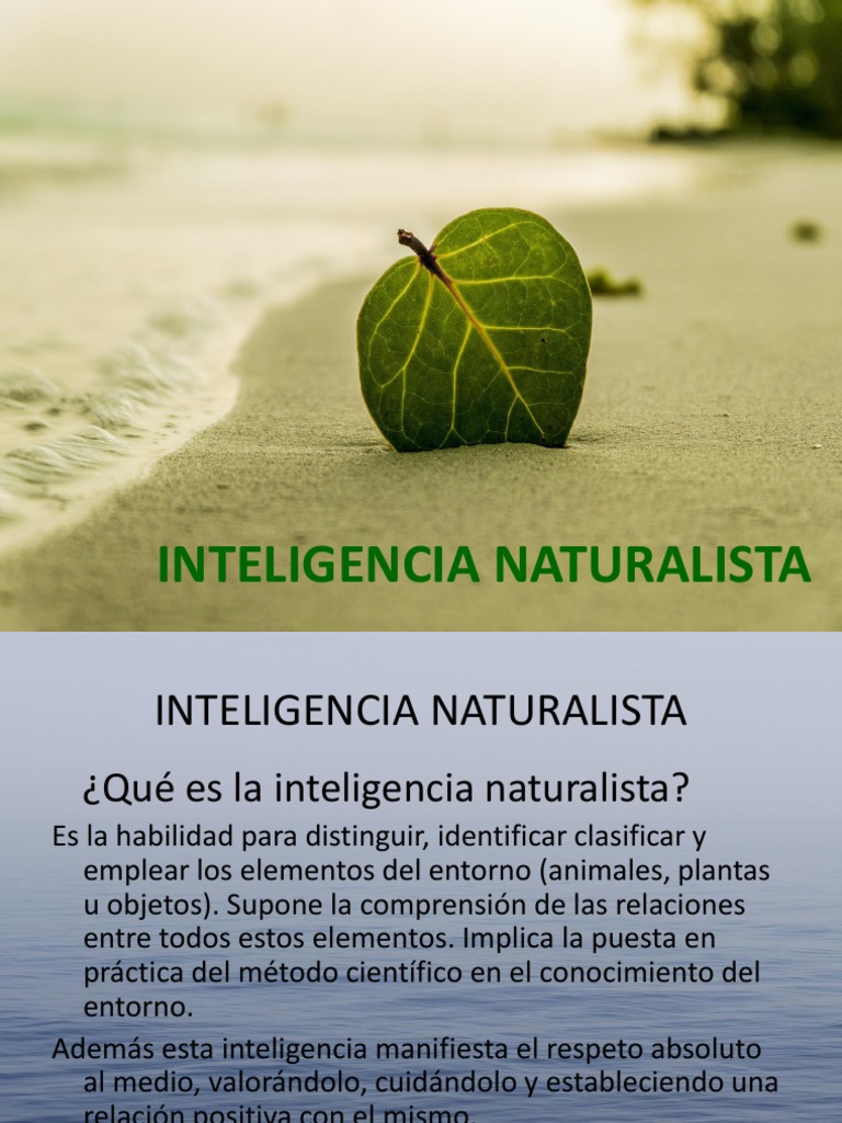 Definición y características de la inteligencia naturalista | PDF ...