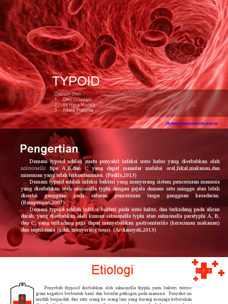 Typoid | PDF