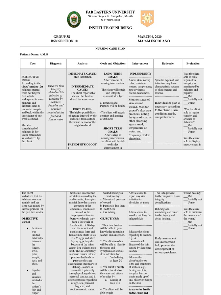 Scabies Case Study NCP | PDF | Medical Specialties | Clinical Medicine