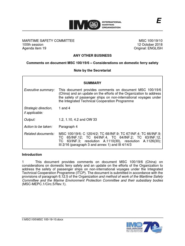 Domestic Ferry Safety Update | PDF | International Relations | Government
