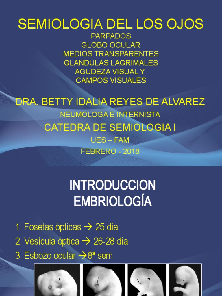 Semiologia Del Los Ojos Clase 6 | PDF | Ojo humano | Percepción visual
