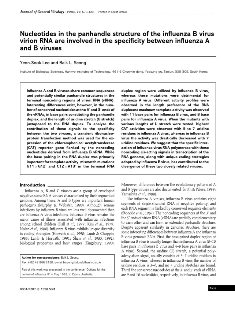 Nucleotides in The Panhandle Structure of The Influenza B Virus Virion ...