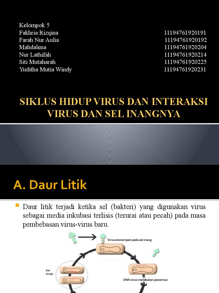 Siklus Hidup Virus Kelompok 5 | PDF