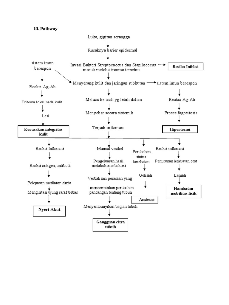 Pathway Chronic Wound | PDF