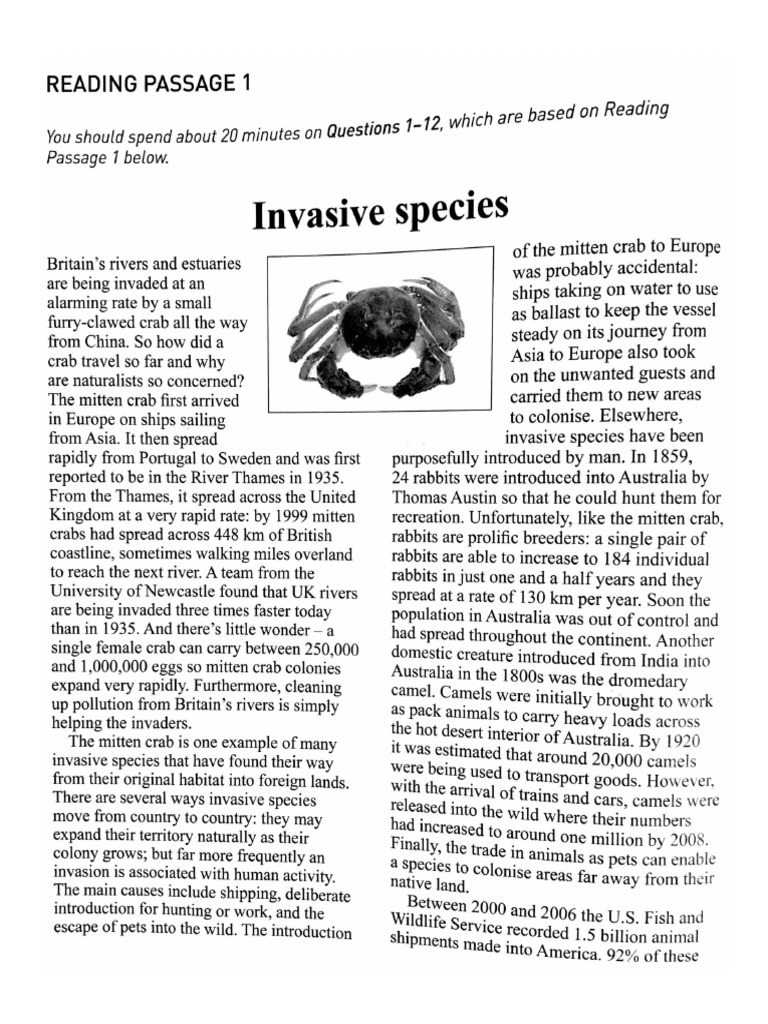 Internal IELTS - Reading Test 1 - April 2020 PDF | PDF