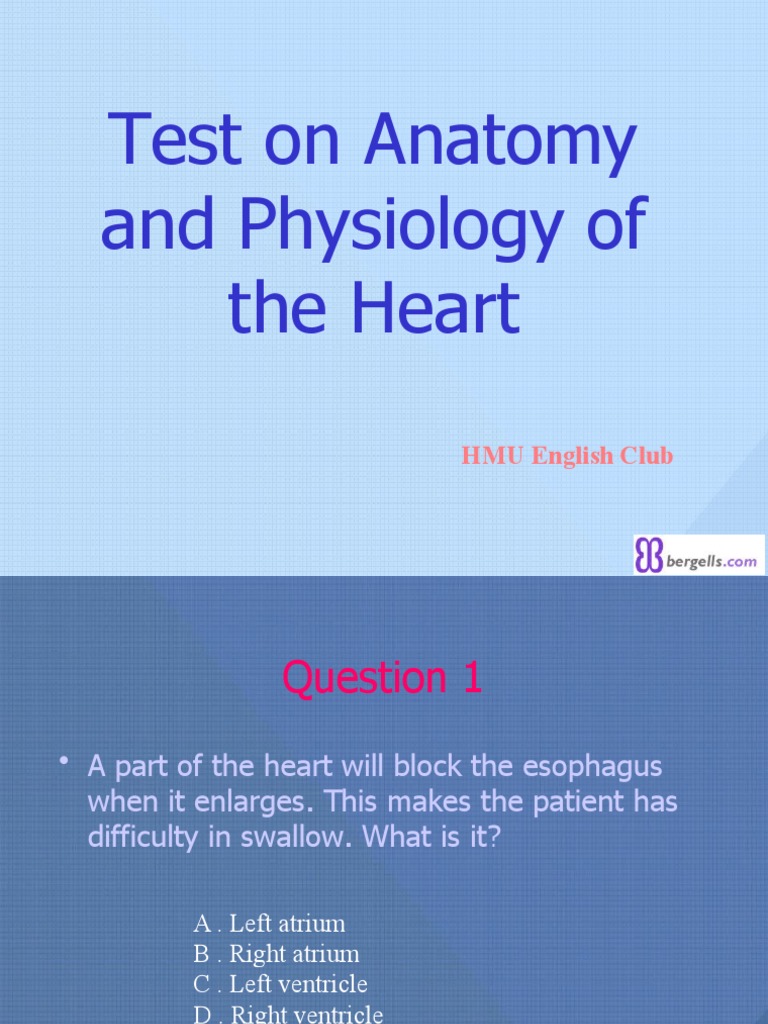 Test On Anatomy and Physiology of The Heart | PDF | Heart Valve ...