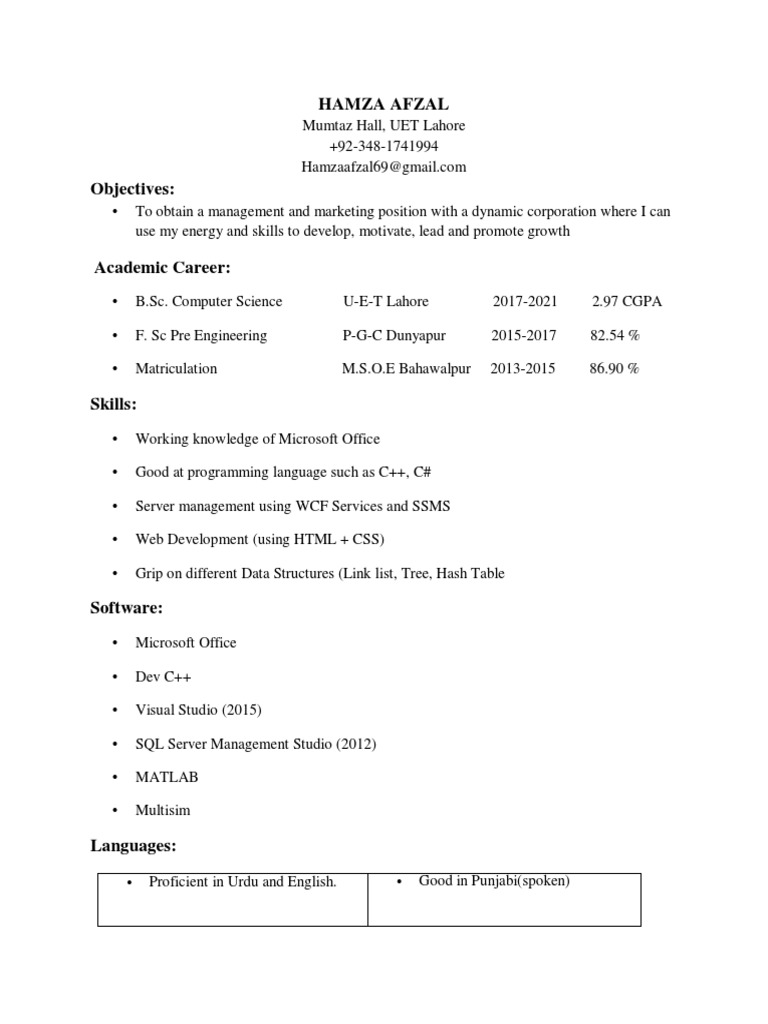 Hamza Resume | PDF