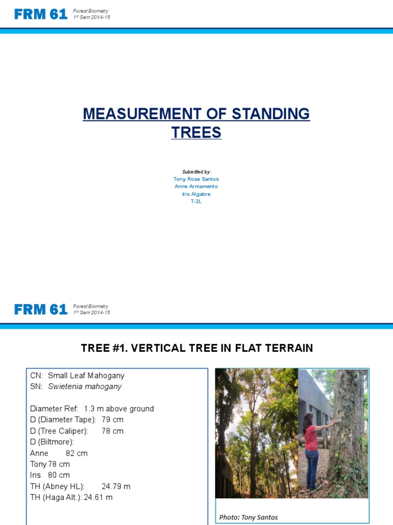 Measurement of Standing Trees: Tony Rose Santos Anne Armamento Iris ...