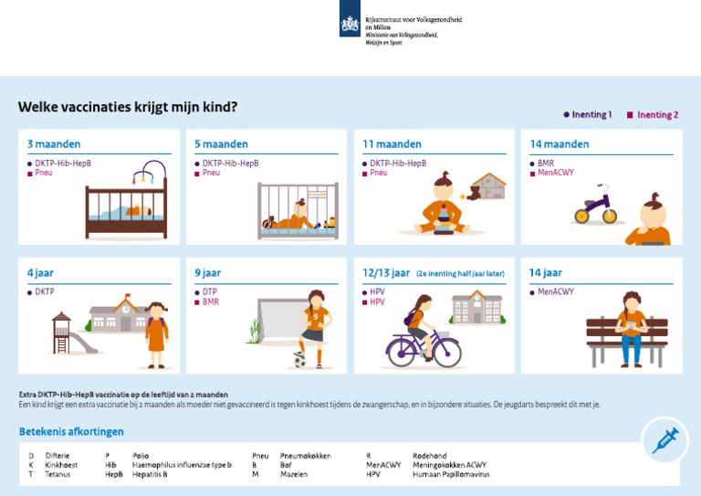 RVP Infographic Vaccinatieschema NL 2020 PDF | PDF