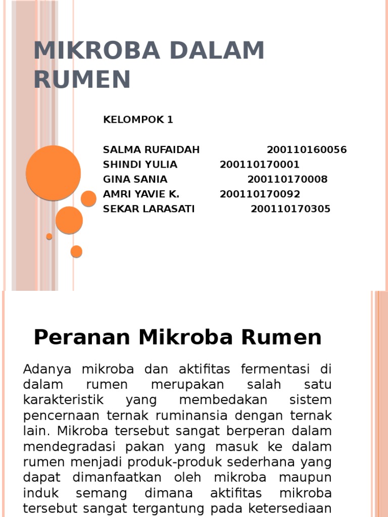 Mikroba Dalam Rumen | PDF