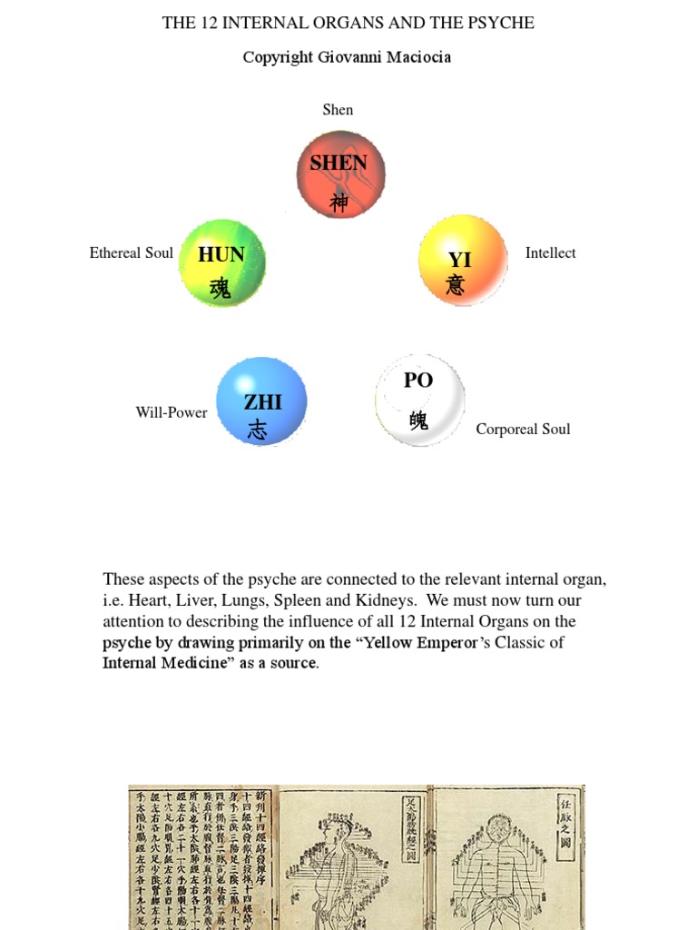 Zang Fu The 12 Internal Organs and The Psyche | Download Free PDF ...