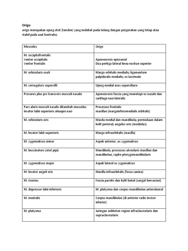Origo, Insersio, Inervasi, Fungsi Otot Kepala | PDF