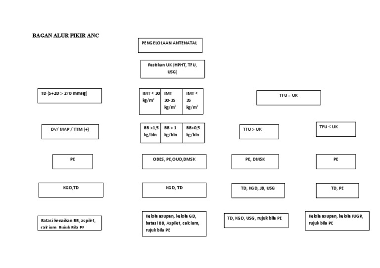 Bagan Alur Pikir Anc | PDF