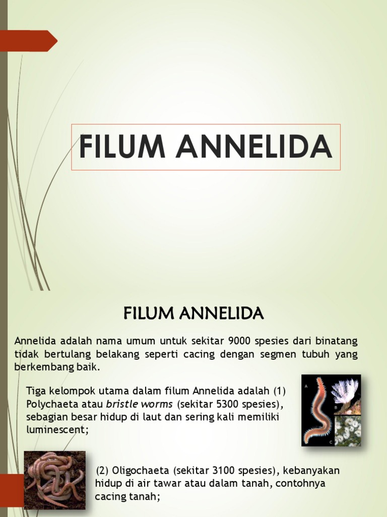 ANNELIDA | PDF | Kesehatan Holistik
