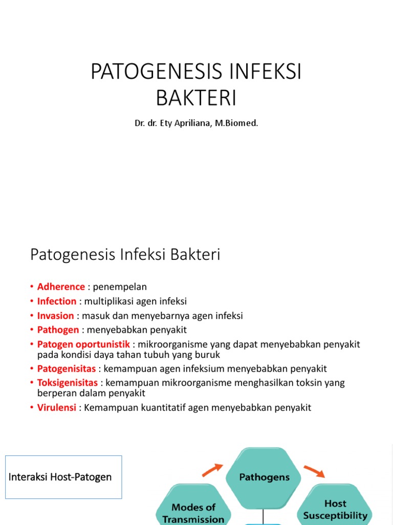 Patogenesis Infeksi Bakteri - 2020 | PDF