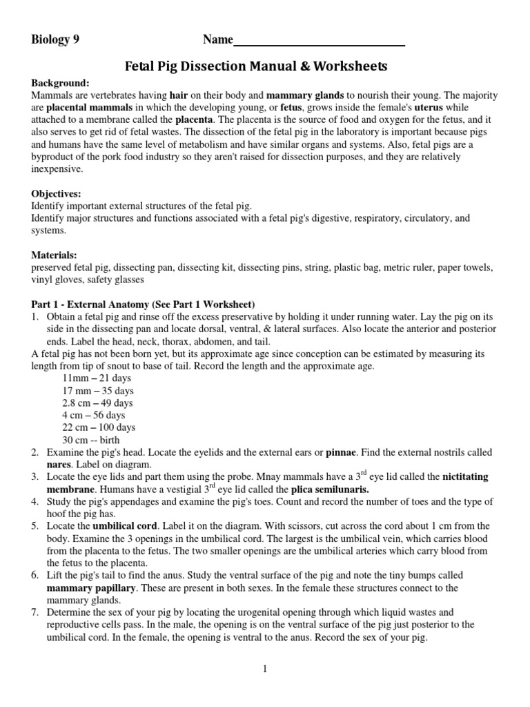 Fetal Pig Dissection Manual & Worksheets: Biology 9 Name | PDF | Atrium ...