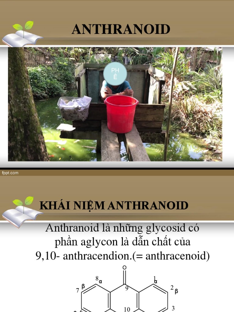 Anthranoid | PDF