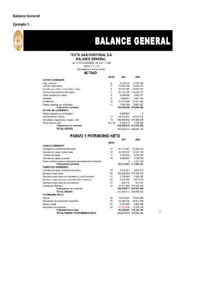 Ejemplos de Estados Financieros Basicos | PDF