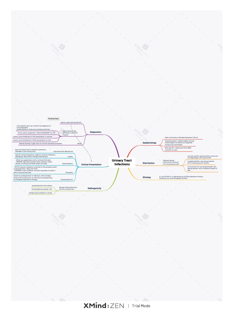 UTI Concept Map and Overview | PDF | Urinary Tract Infection | Public ...
