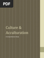 Berry Acculturation Model | PDF