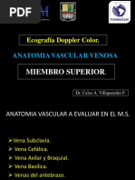Metodo RaPeVA GAVeCeLT | PDF | Sistema cardiovascular | Sistema ...