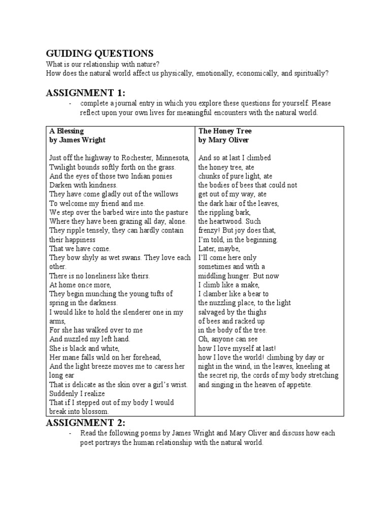 Nature by Ralph Waldo Emerson Unit | PDF | Transcendentalism | Vincent ...