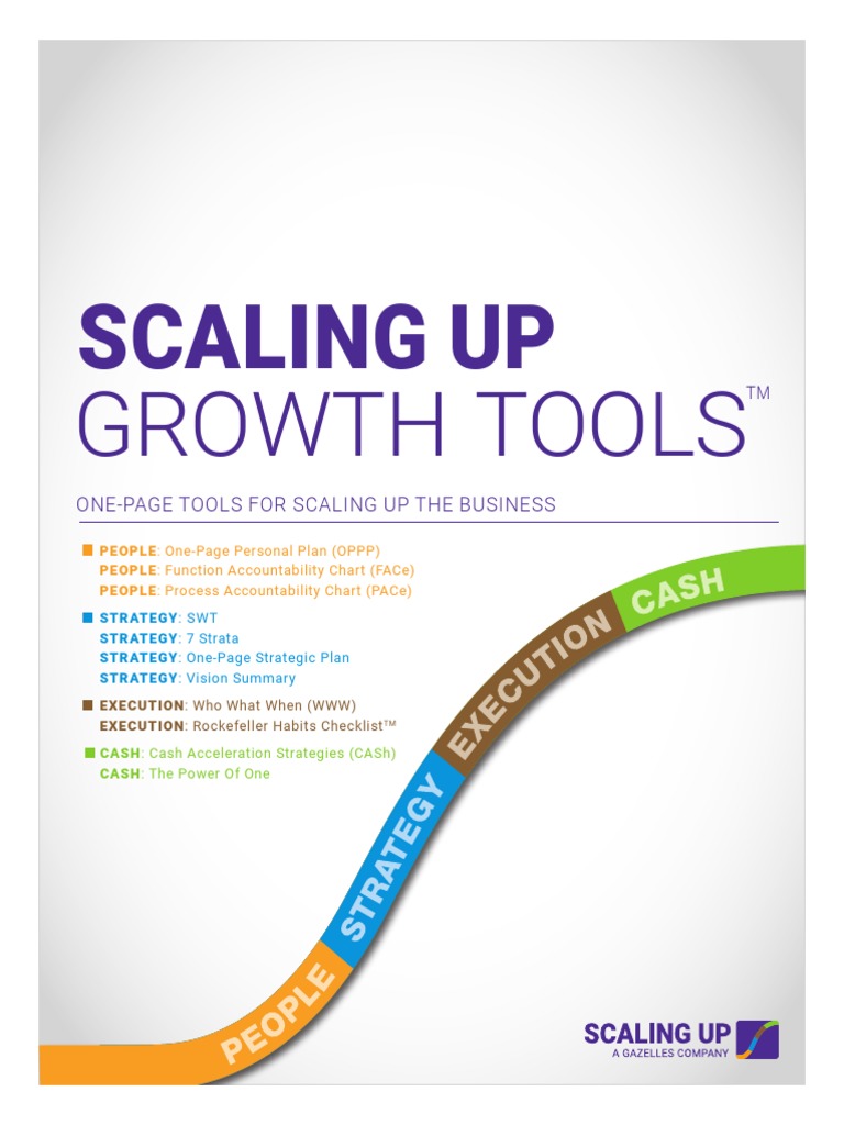 Scaling Up | PDF | Performance Indicator | Strategic Planning