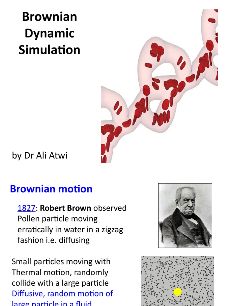 Brownian Dynamics 2014 | PDF | Brownian Motion | Diffusion