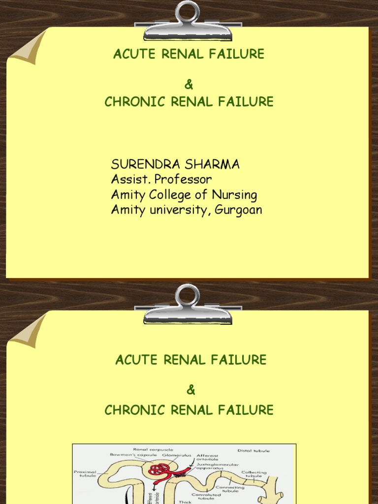 ARF&CRF | PDF | Kidney | Chronic Kidney Disease