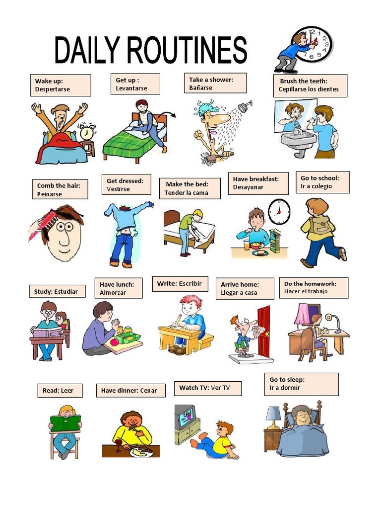Rutina Diaria en Inglés y Español | PDF