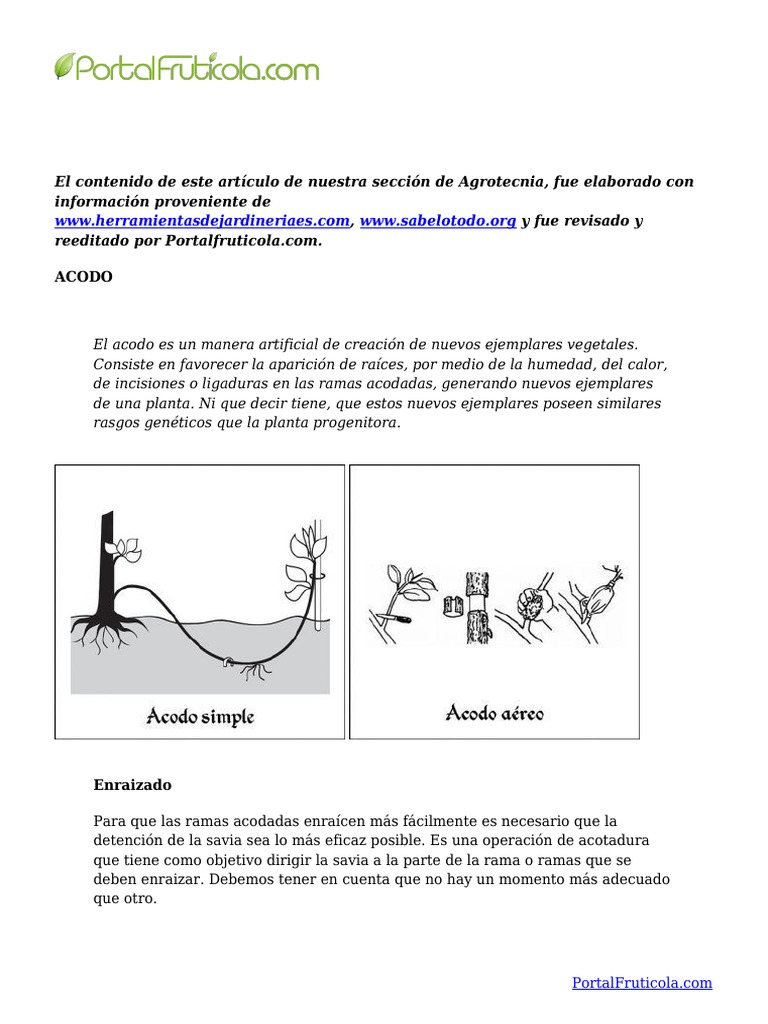 Guía para Hacer Todo Tipo de Acodos en La Agricultura - Mugrones ...