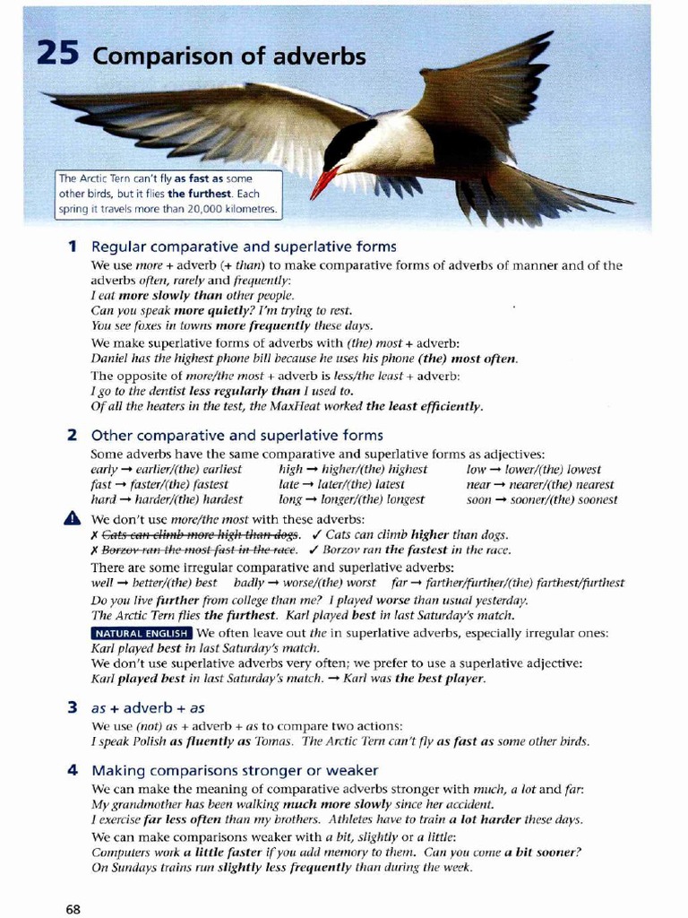 16-Comparative and Superlative Adverbs - My Grammar Lab B1-B2 | PDF