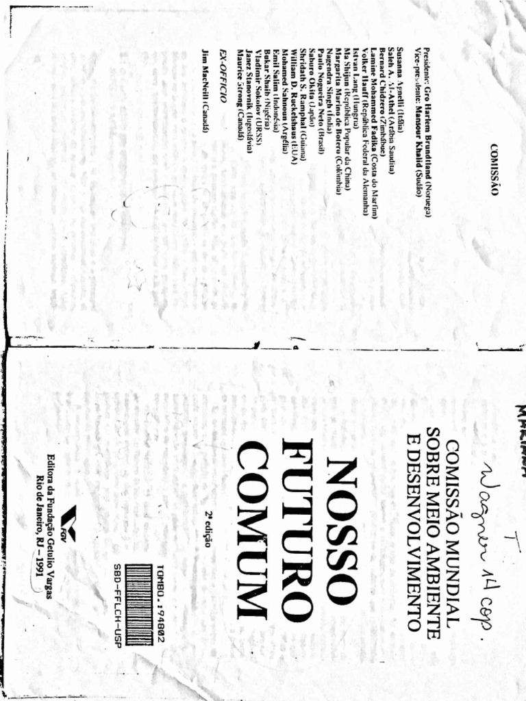 Nosso Futuro Comum PDF | PDF