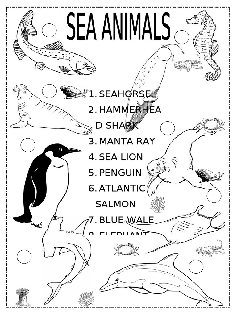 Sea Animals 1 Fun Activities Games - 249 | PDF