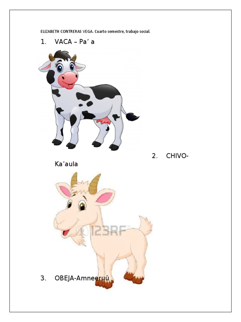 Animales en El Idioma Wayuu | PDF