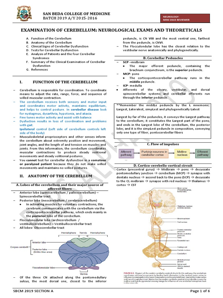 OSCE Cerebellar Examination PDF | Download Free PDF | Cerebellum | Neuroanatomy