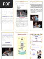 TRIPTICO - Filtro Purificador de Agua Casero-JORGE BASADRE 2019 | PDF | Botella | Agua
