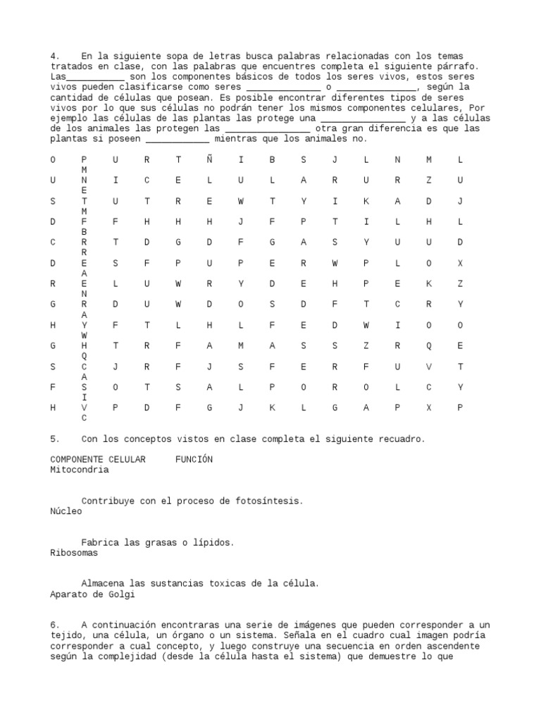 Sopa de Letras | PDF | Biología Celular) | Tejido (biología)