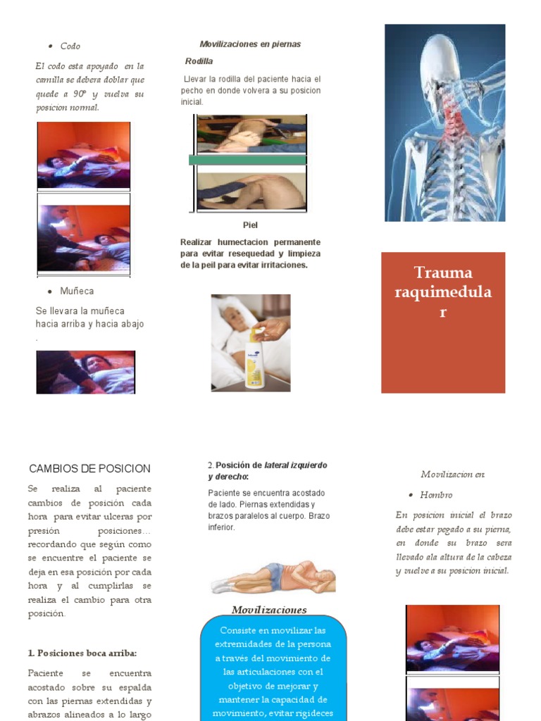 Plan Casero para Trauma Raquimedular | Descargar gratis PDF | Rodilla | Codo