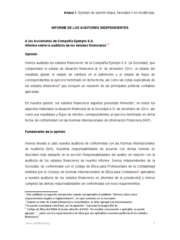 Anexo 1 Ejemplo O Modelo De Opinion Limpia Favorable O No Modificada