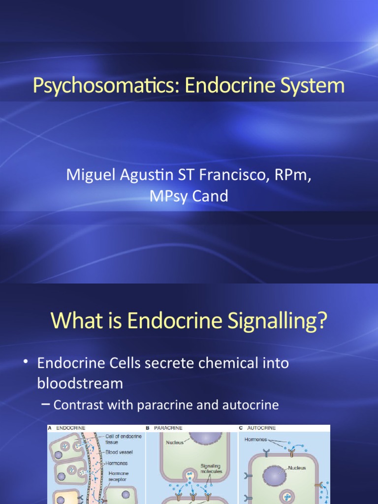 Module 15 Endocrine System | PDF | Endocrine System | Cortisol